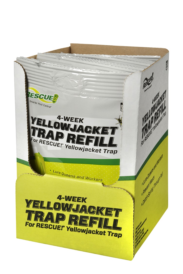 yellow jacket trap rescue