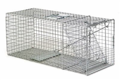 Safeguard Raccoon Trap 30x11x12 | Target Specialty Products US