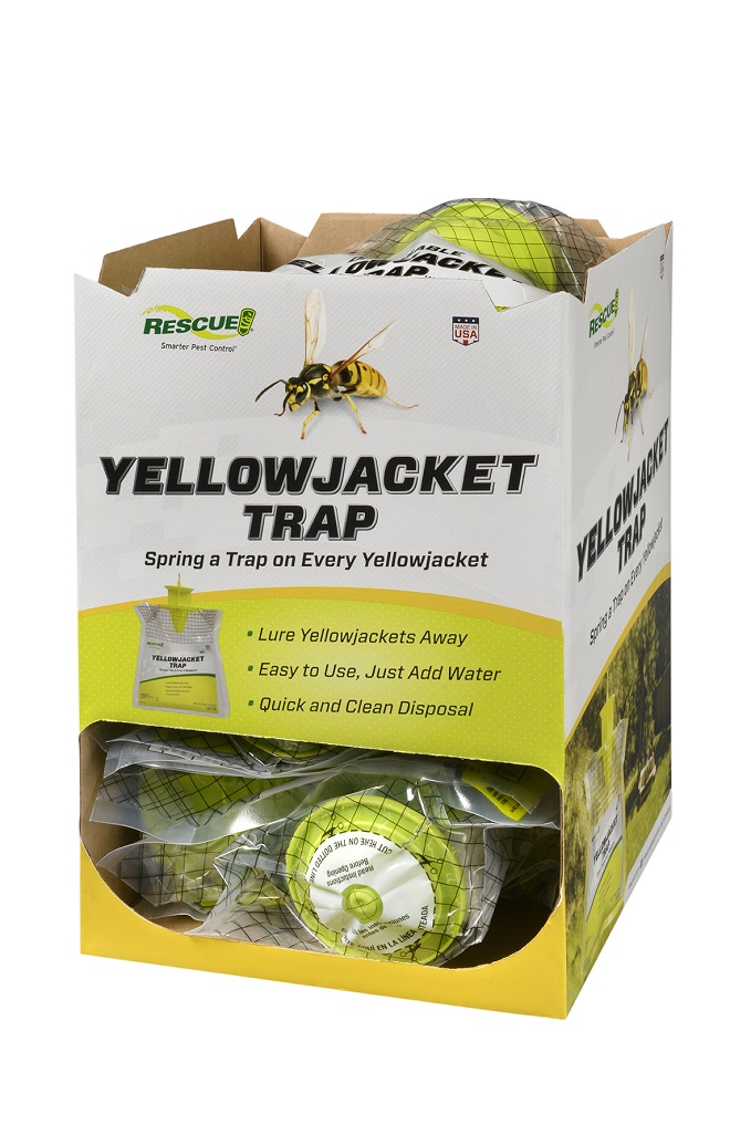 yellow jacket trap
