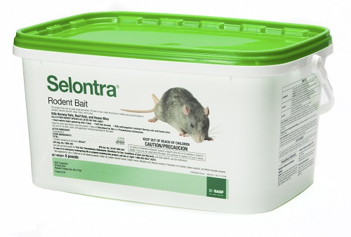 Exploring the Significance of Formulation in Rodenticides: An Insight ...