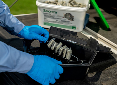 Enough is Enough! How the Stop-Feed Action of Cholecalciferol in ...