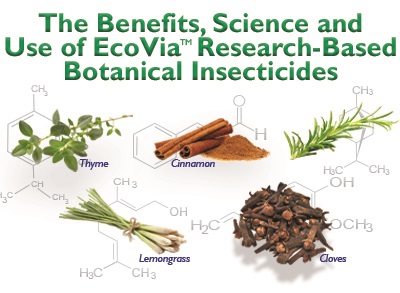 Fifra 25b minimum risk pesticides green pest control | Target Specialty ...