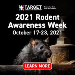 Brush up on your rodent knowledge – It's Rodent Awareness Week ...